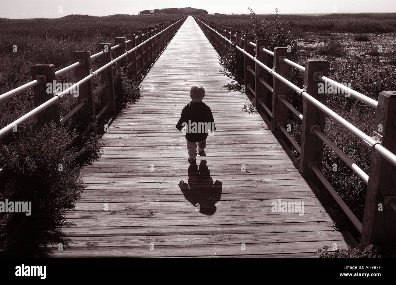 Small boy walking on pathway into future Life Stock Photo - Alamy