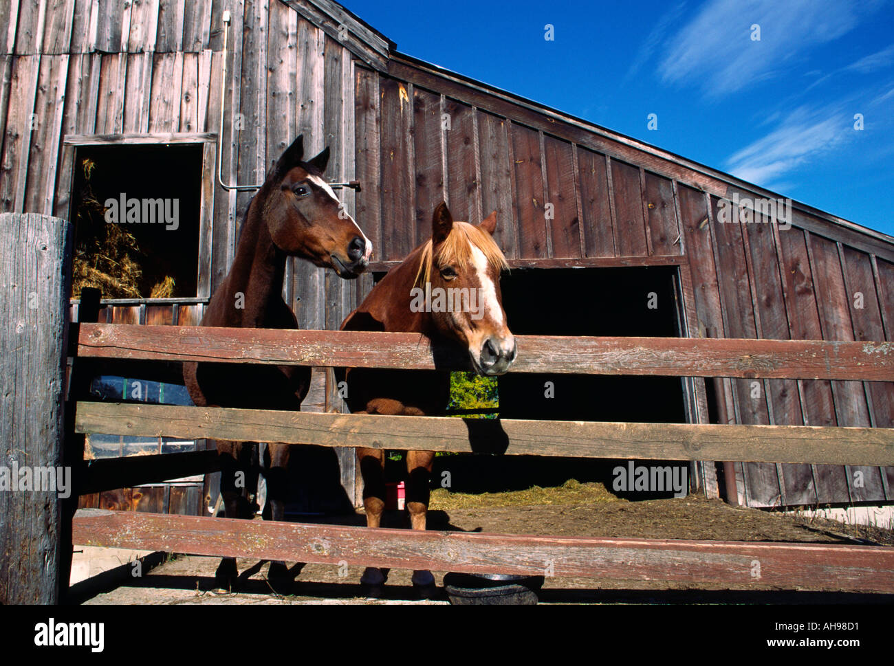Barn for horses hi-res stock photography and images - Alamy