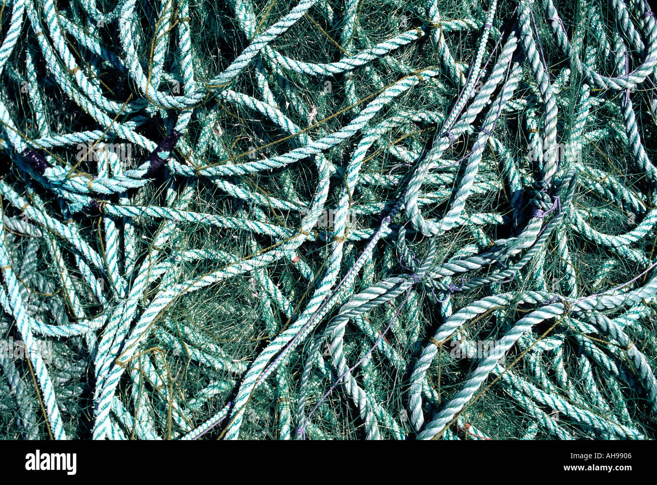 Commercial nylon fishing rope Stock Photo - Alamy