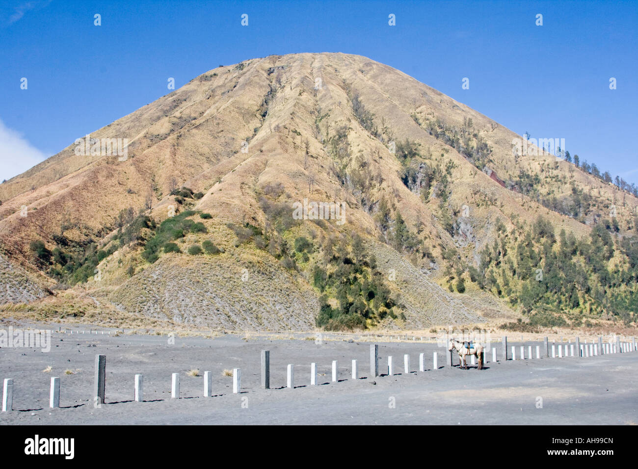 Gunung Batok or Mount Batok Gunung Bromo area Java Indonesia Stock ...