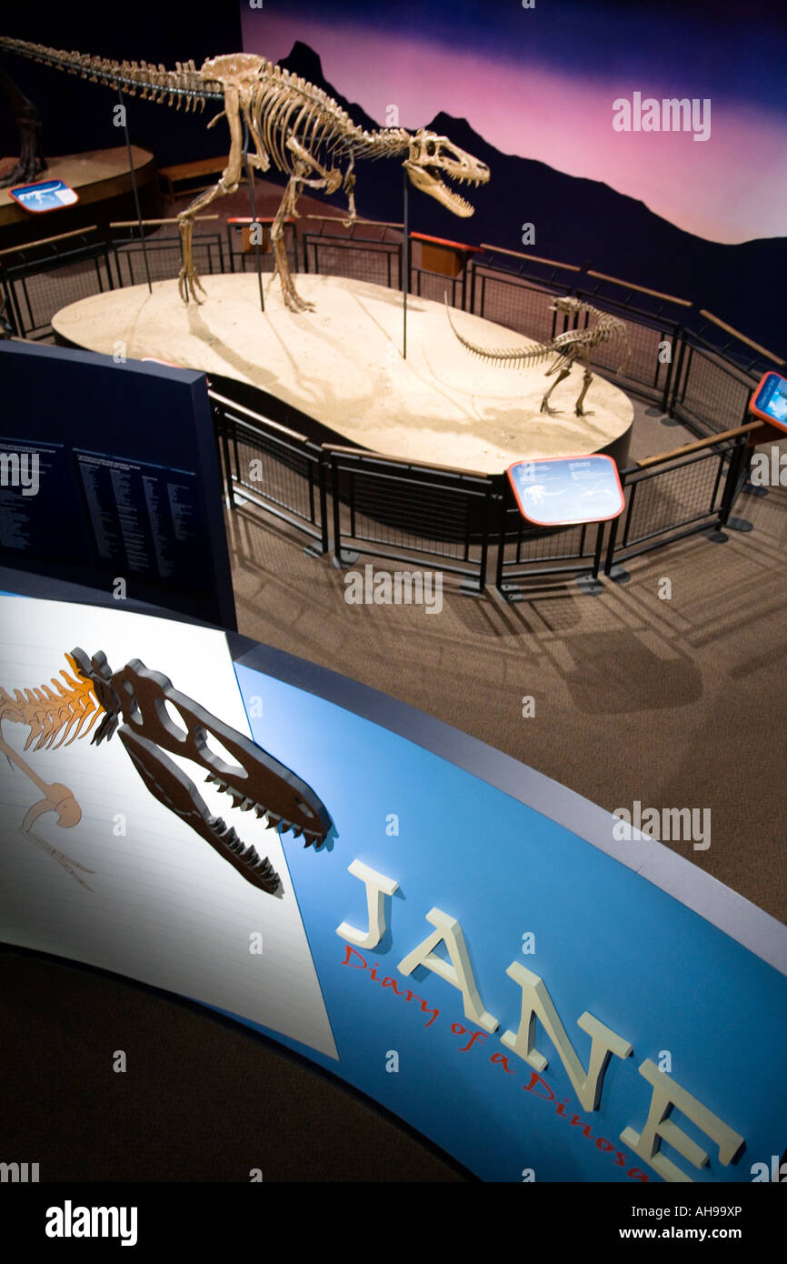 Rockford illinois jane hi-res stock photography and images - Alamy