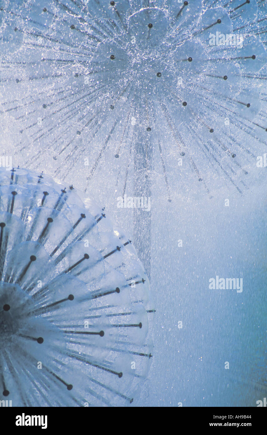 The Ferrier fountain Dandelion shaped fountains outside the ...