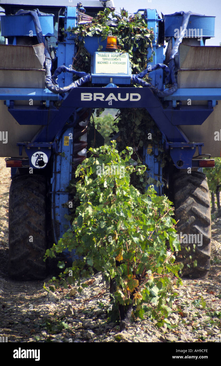 grape harvest machine by harvest work Stock Photo - Alamy
