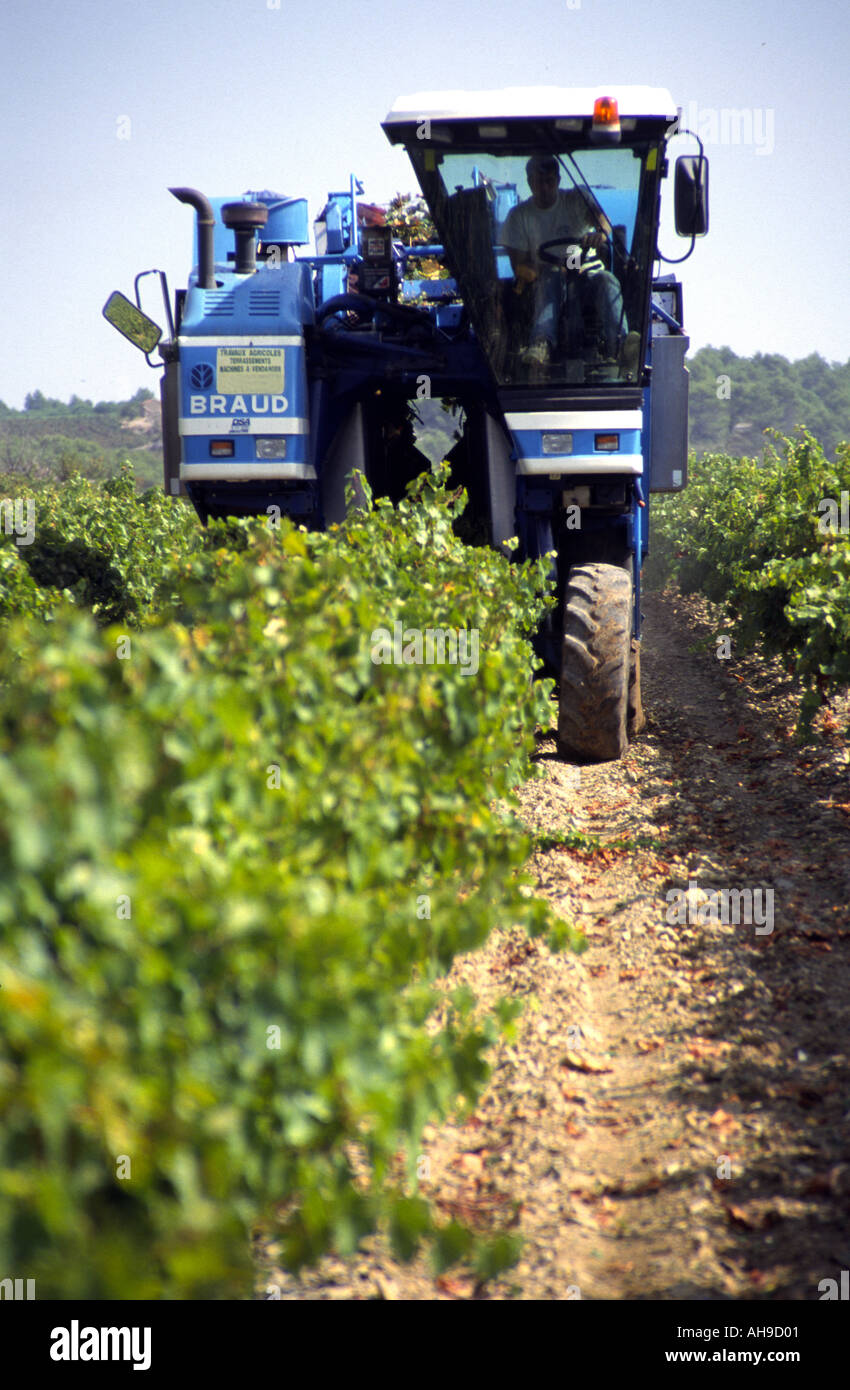 grape harvest machine by harvest work Stock Photo - Alamy