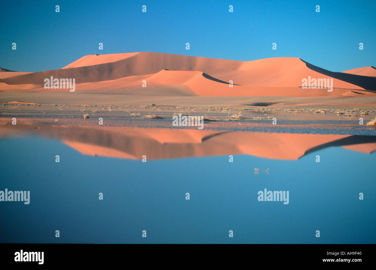 Water in the Namib desert Namib Naukluft Park Namibia Stock Photo - Alamy