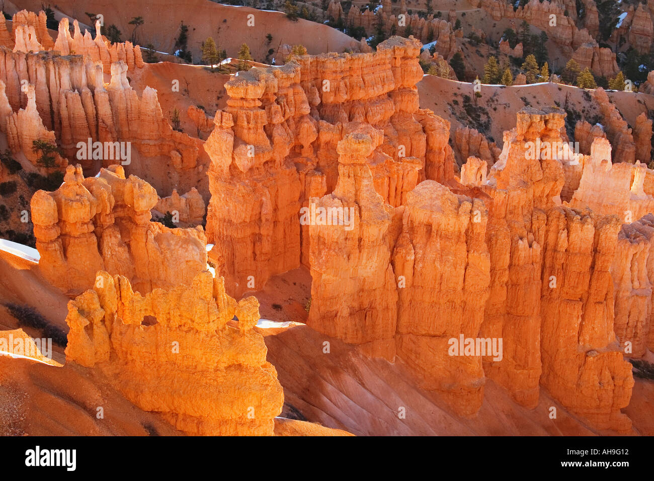 Glowing Hoodoo Formations from the rim of Bryce Canyon Bryce Canyon ...