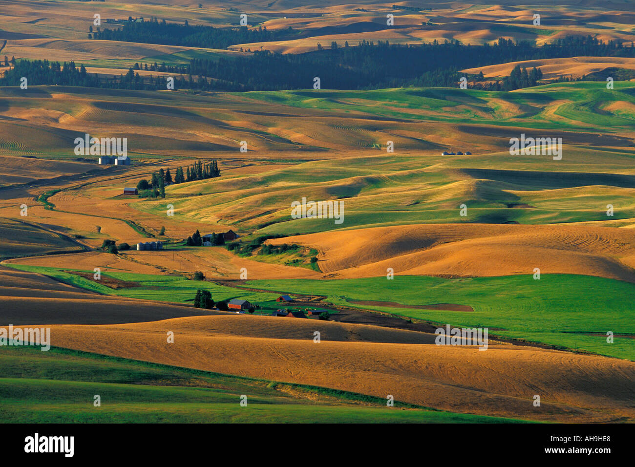 Rolling hills in the Agricultural Fields painted in their autumn colors ...