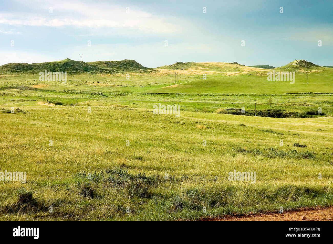 green fields of western country Stock Photo - Alamy