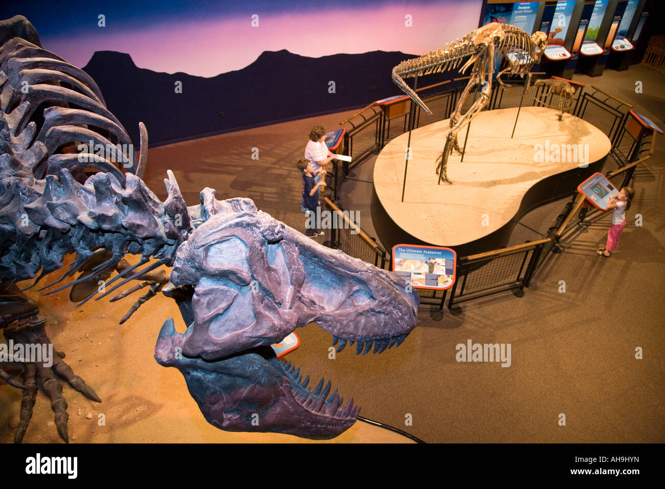 ILLINOIS Rockford Dinosaur skeleton display Burpee Museum interior ...