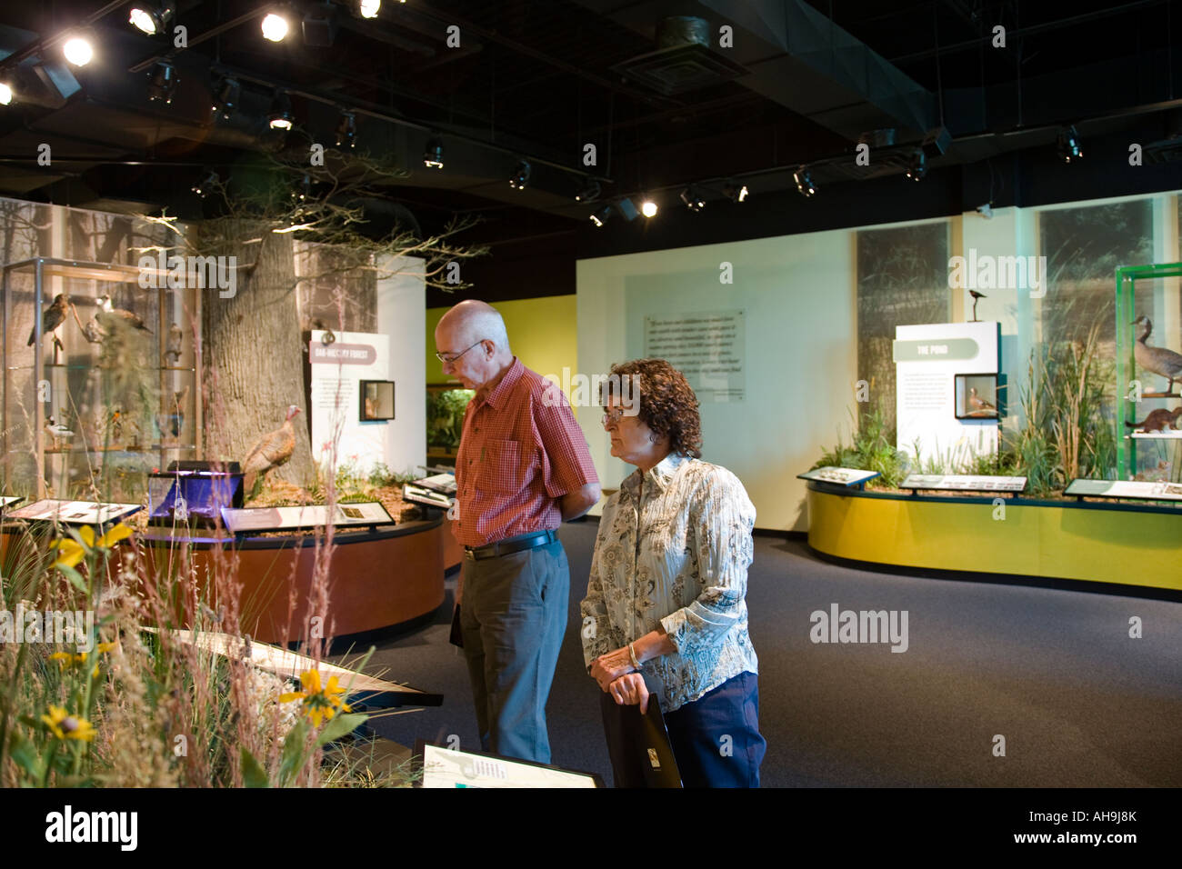 Burpee museum of natural history hi-res stock photography and images ...