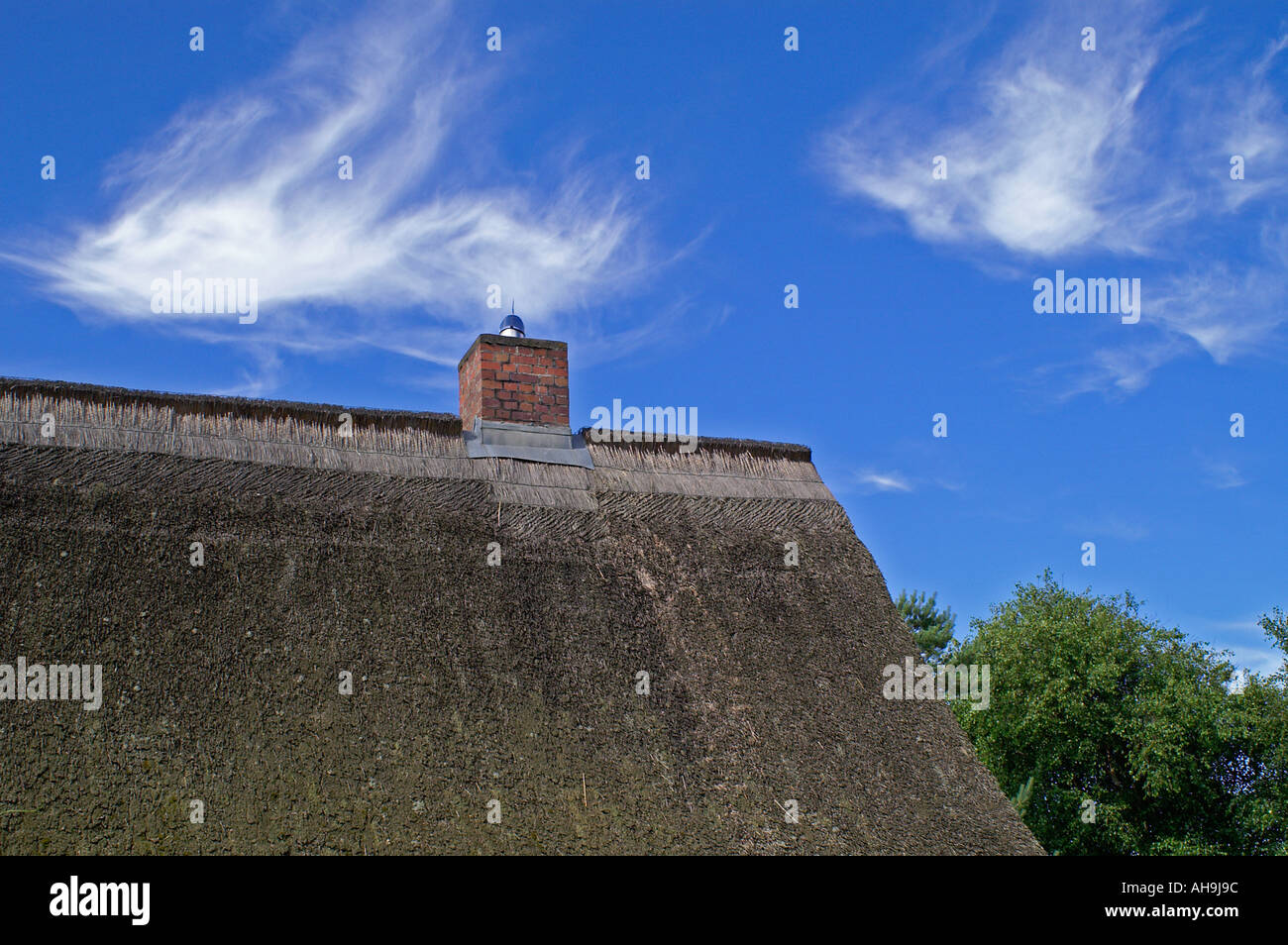 dwelling house reed roof Stock Photo - Alamy