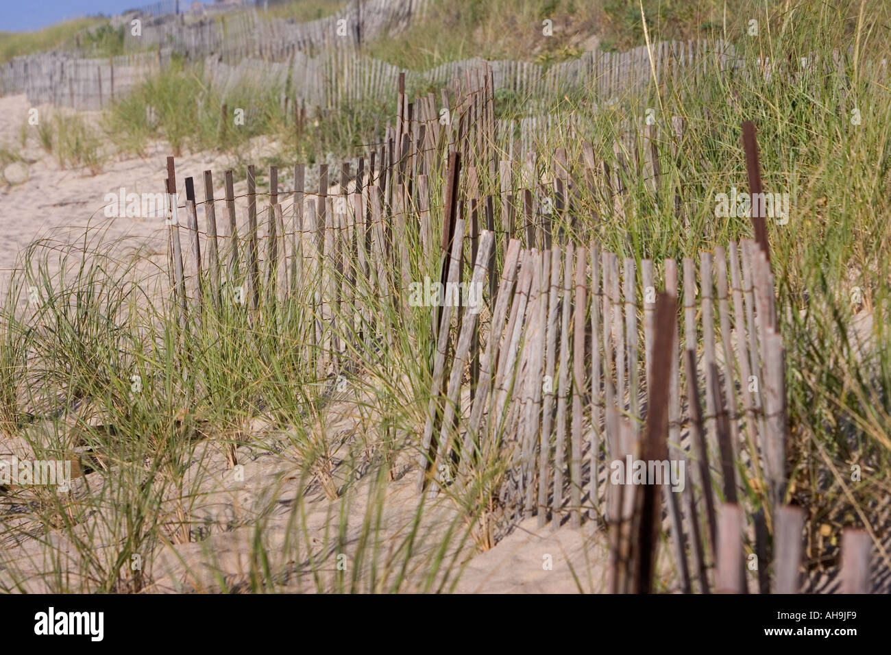 Fence to stop erosion of dunes Stock Photo - Alamy