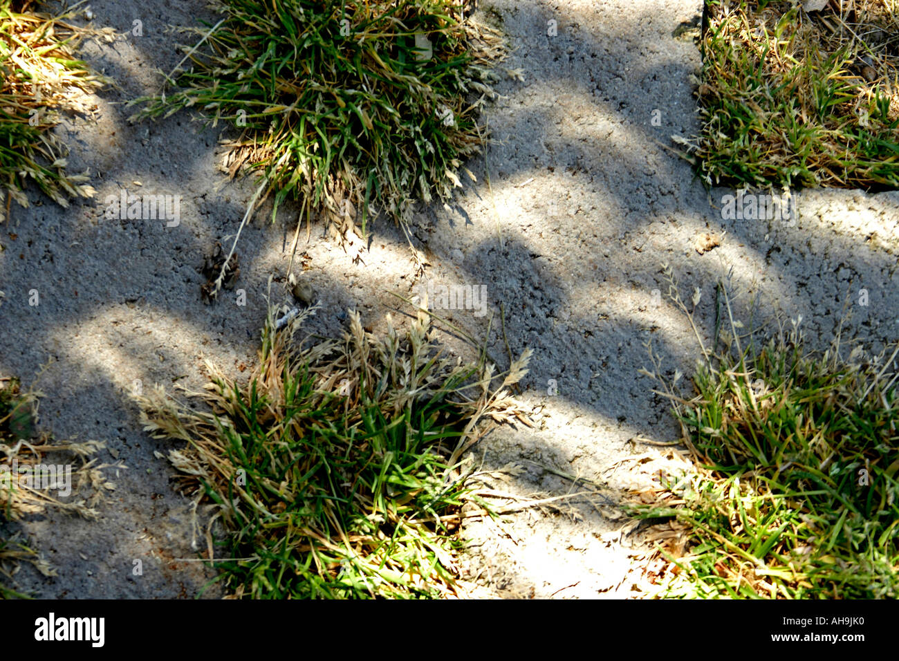 Partially eclipsed hi-res stock photography and images - Alamy