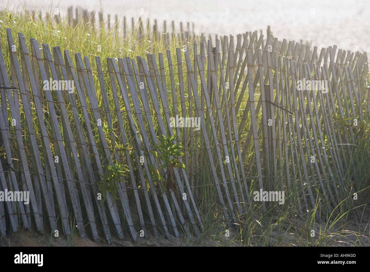 Fence to stop erosion of dunes Stock Photo - Alamy