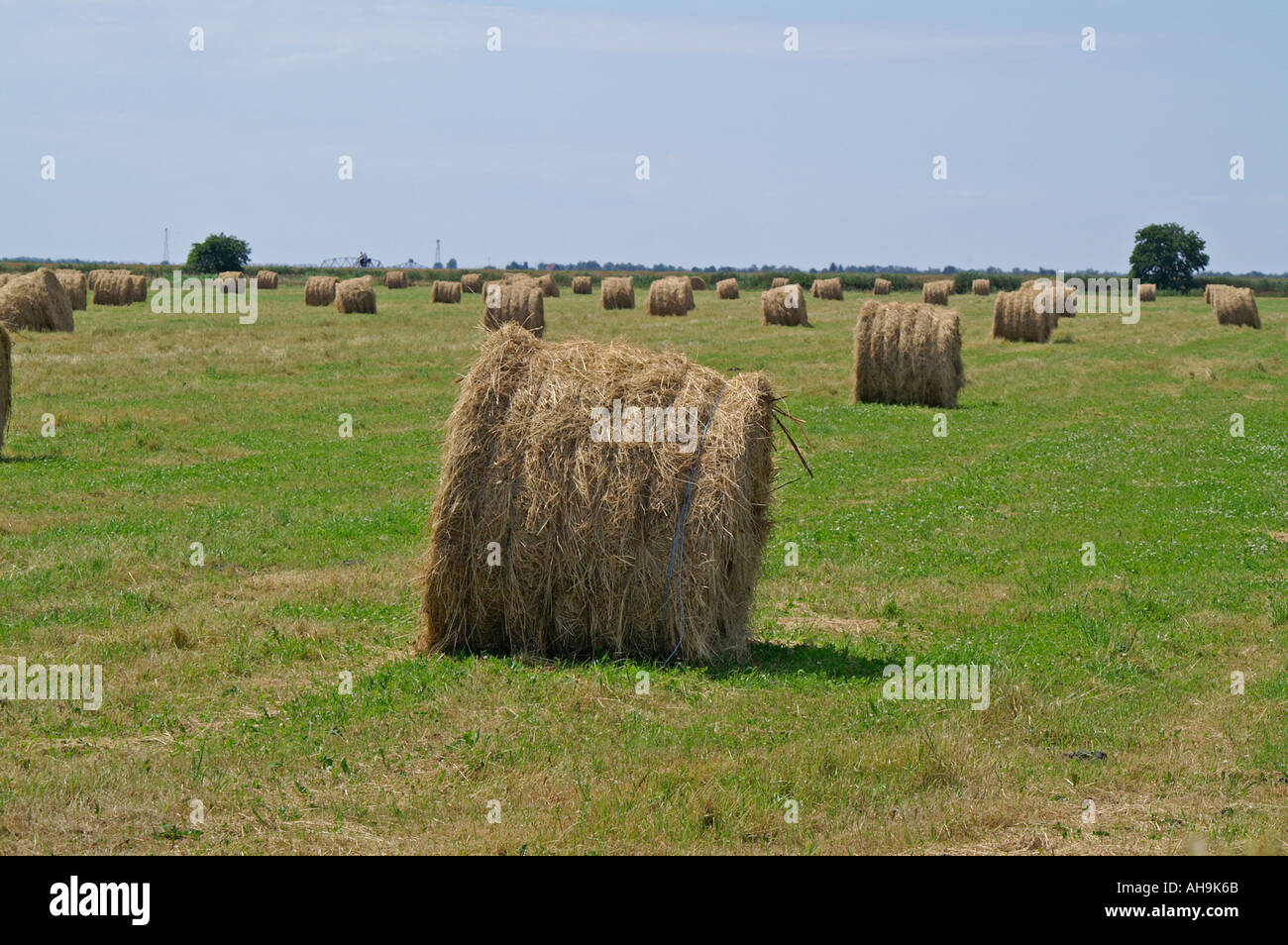 harvest fields landscape Stock Photo - Alamy
