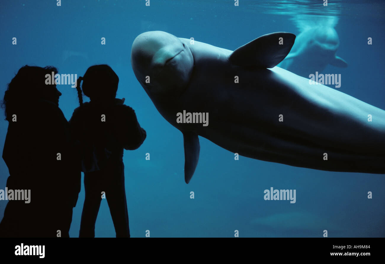 Point defiance zoo aquarium hi-res stock photography and images - Alamy