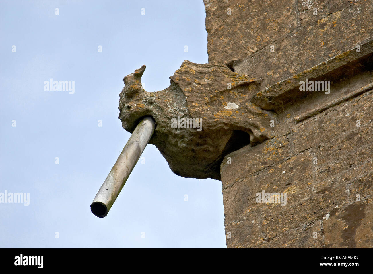 Drain pipe with gargoyle hi-res stock photography and images - Alamy