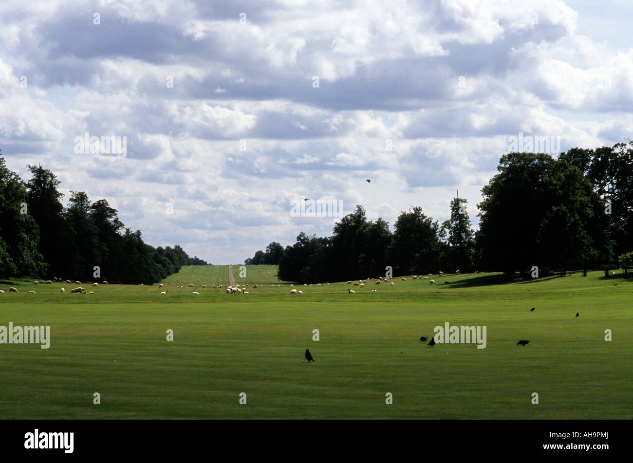 England country house drive hi-res stock photography and images - Alamy