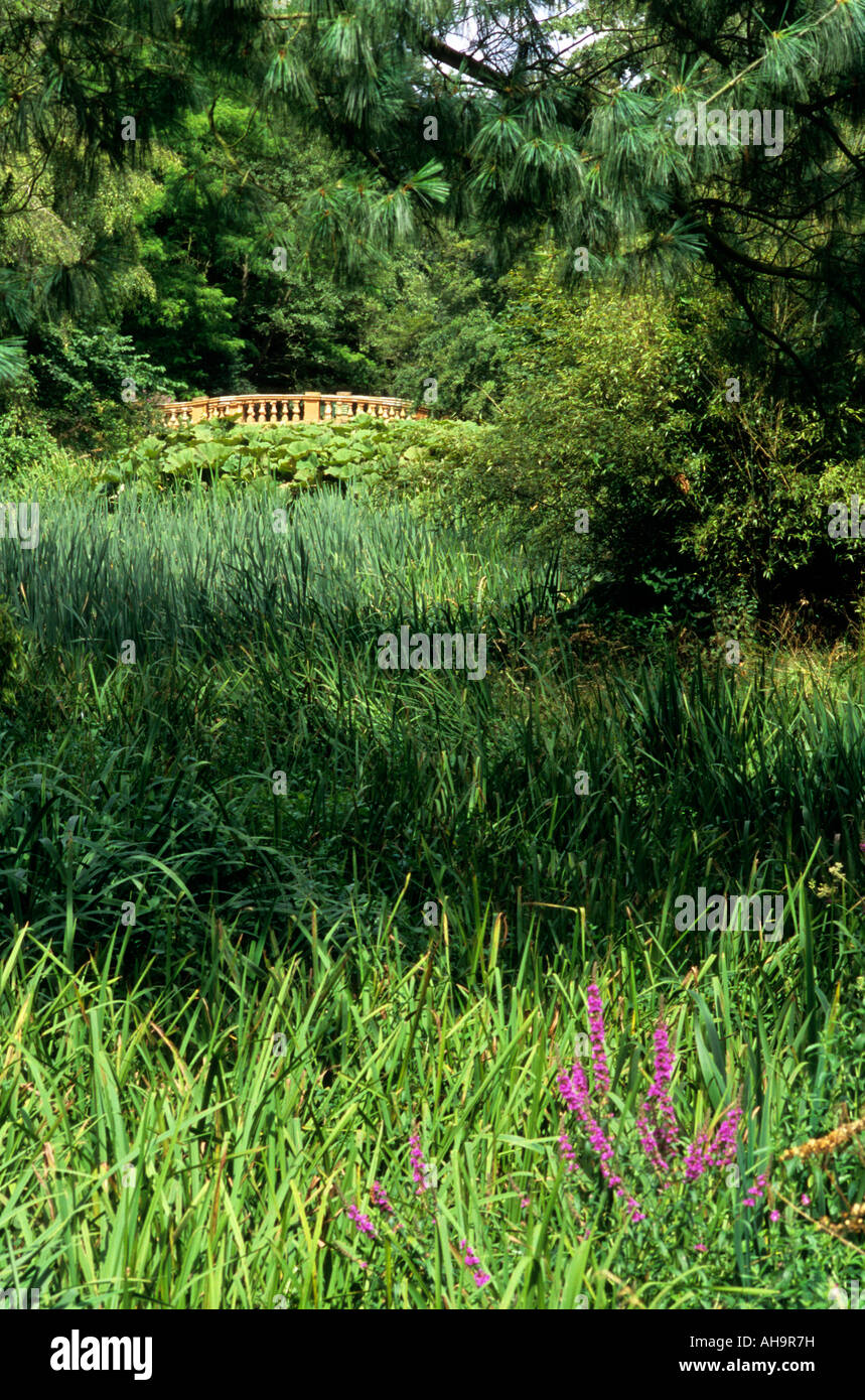 Ornamental bridge in English country garden Stock Photo - Alamy