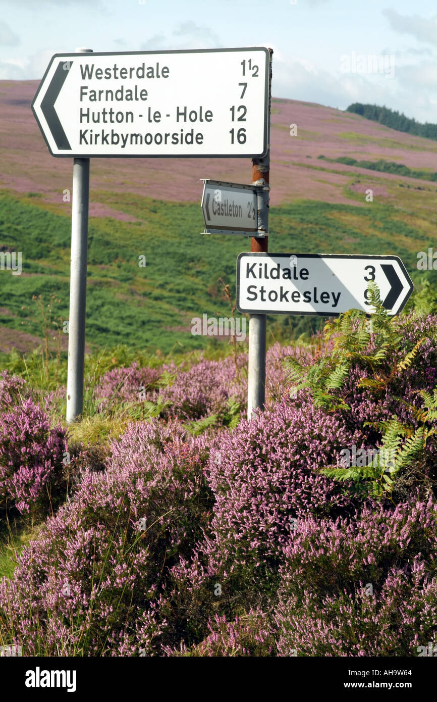 Heather and directional signs North Yorks National Park Yorkshire Stock ...