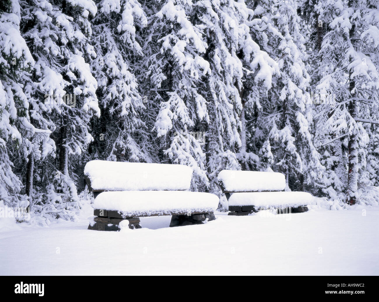 Two benches in snow, Lake Louise, Canada Stock Photo - Alamy