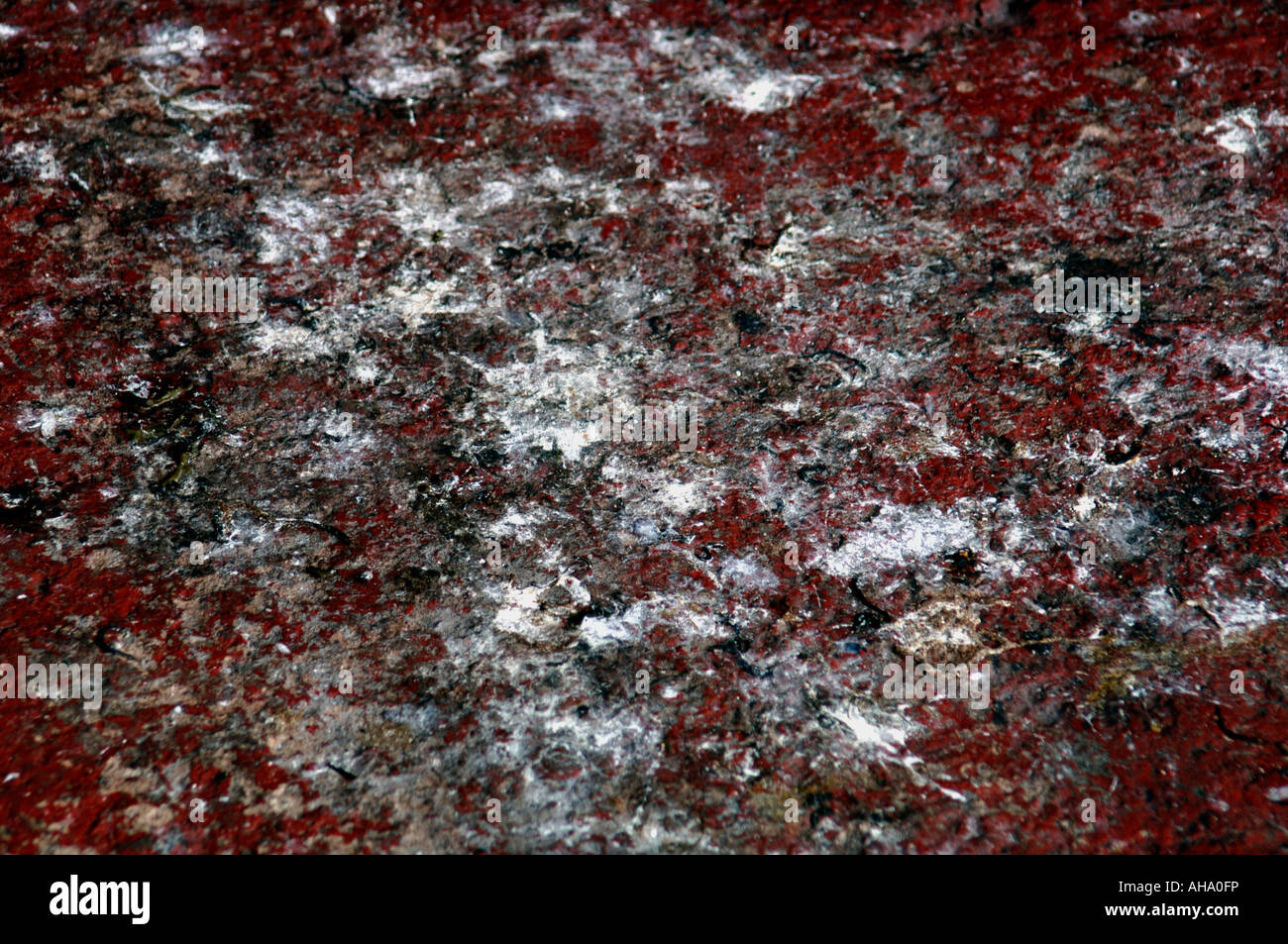 Pigeon Droppings On A Floor Stock Photo - Alamy