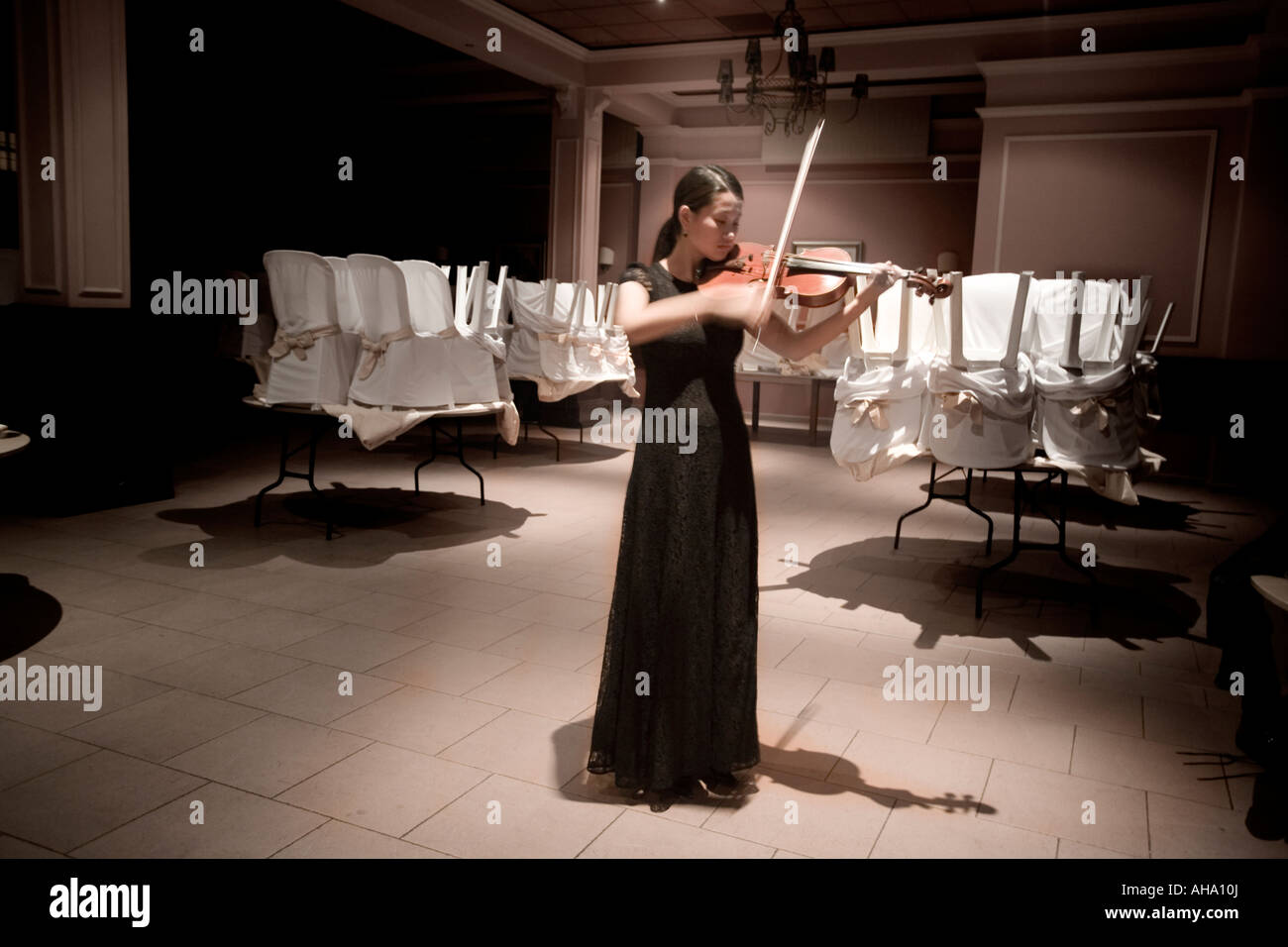 Instrumento musical barroco hi-res stock photography and images - Alamy