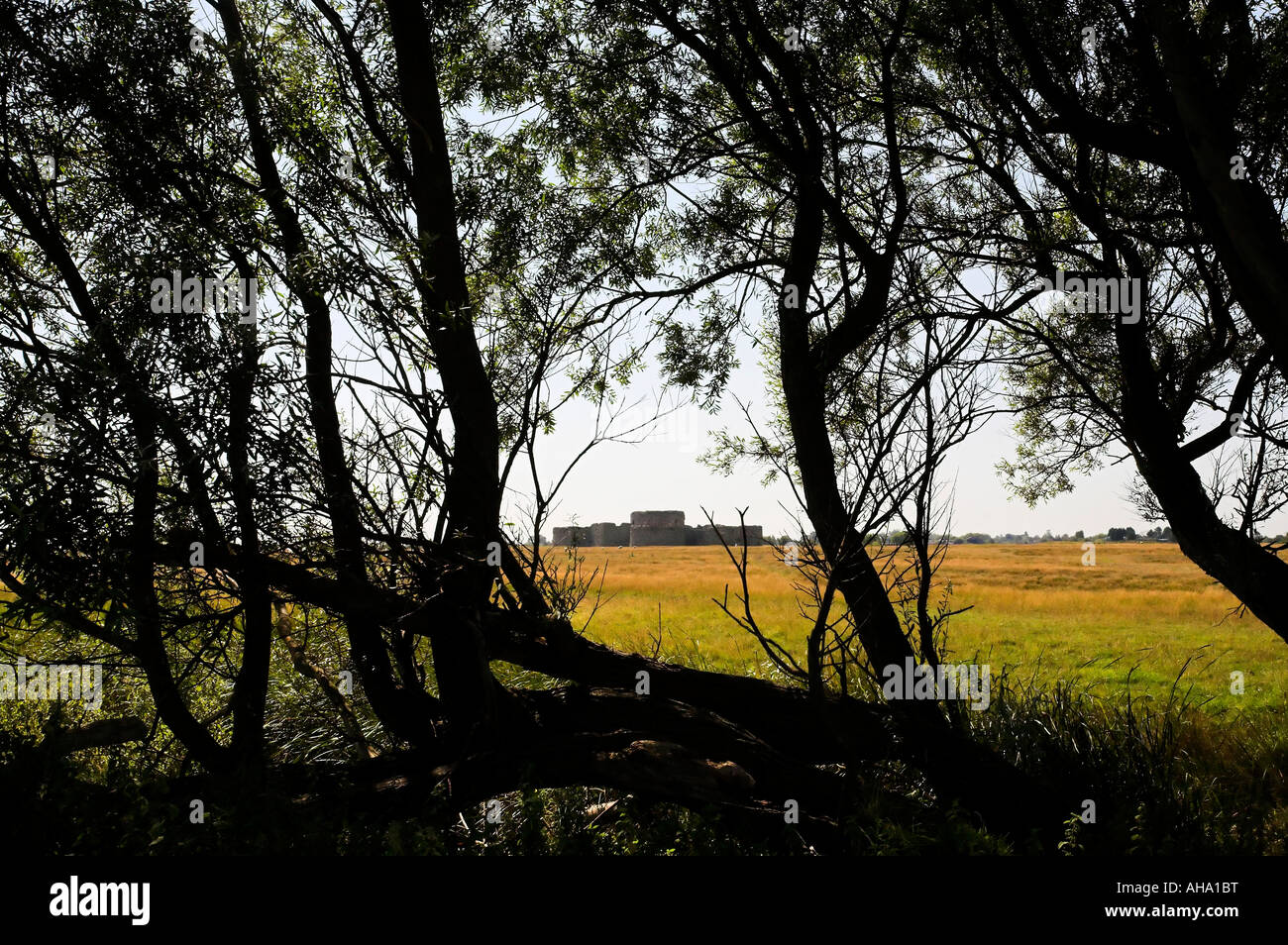 Camber Castle Rye Sussex England Stock Photo - Alamy