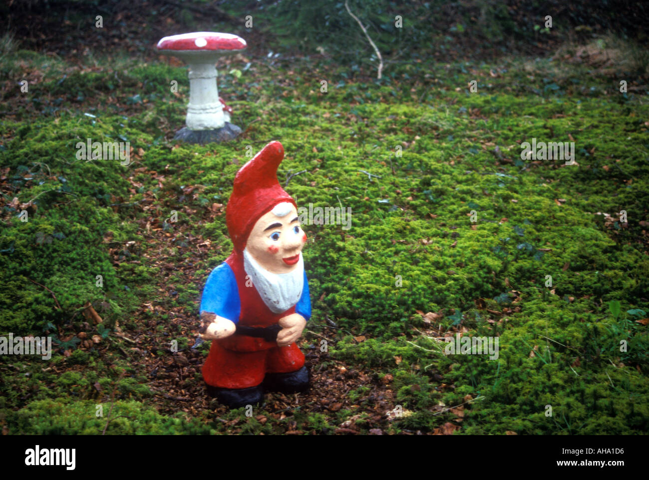 Gnome and toadstool Gnome Reserve, West Putford, Bradworthy Devon ...