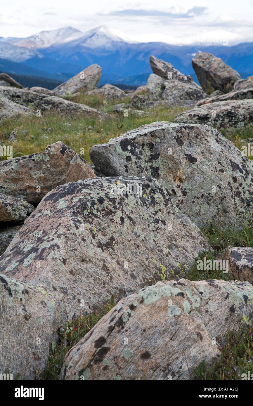 Evans blue hi-res stock photography and images - Alamy