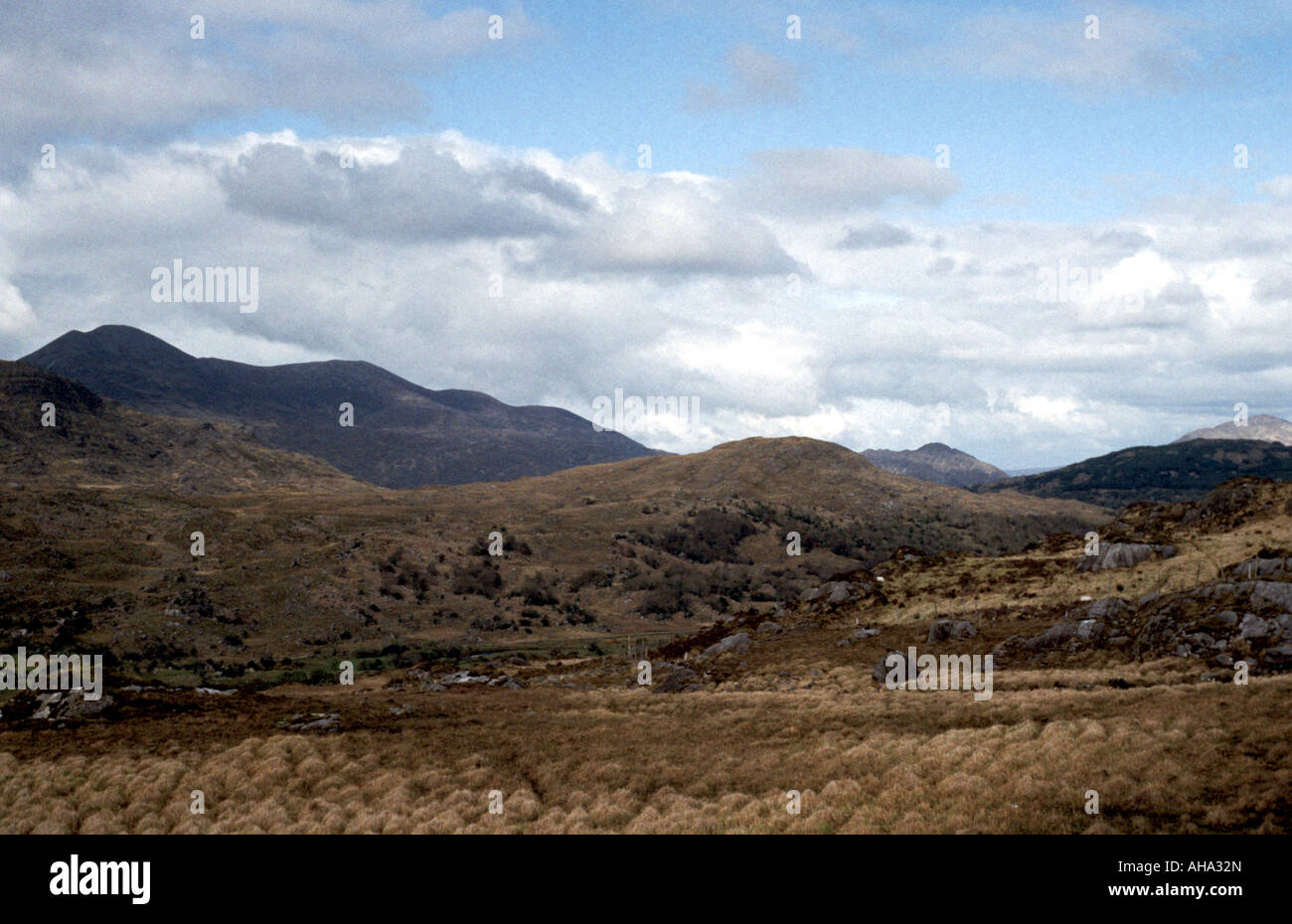 The moorland scene showing Purple mountain within County Kerry Ireland ...