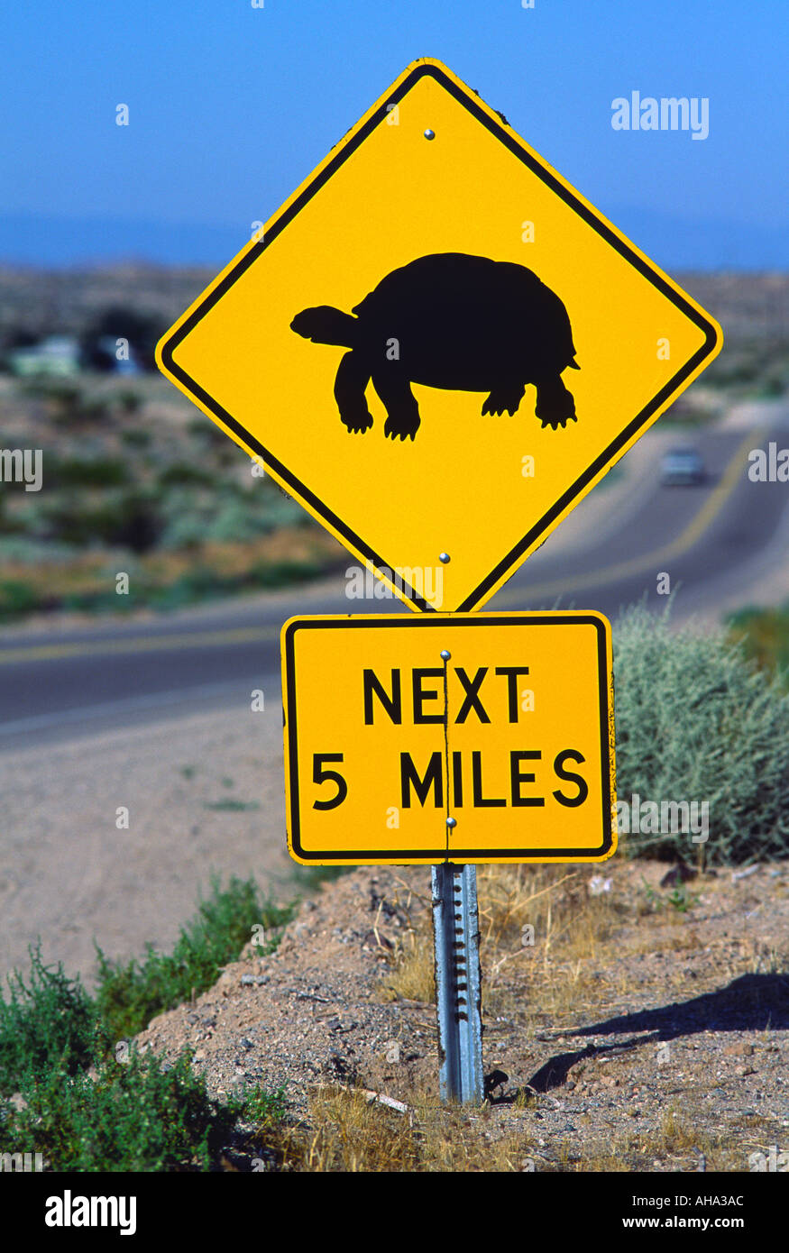 Tortoise crossing sign, California desert Stock Photo - Alamy