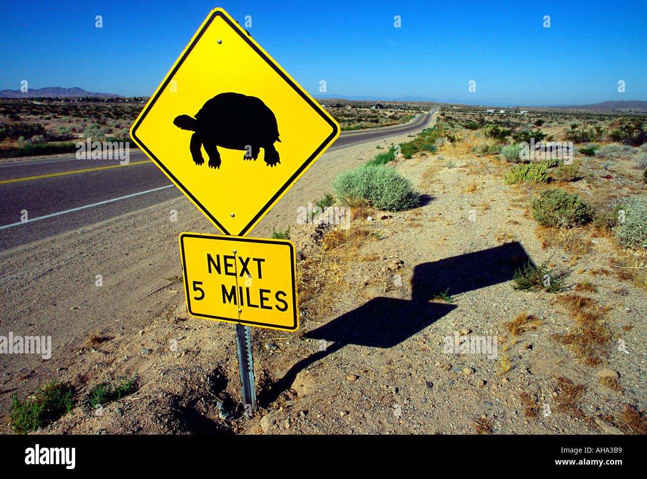 Tortoise crossing sign, California desert Stock Photo - Alamy