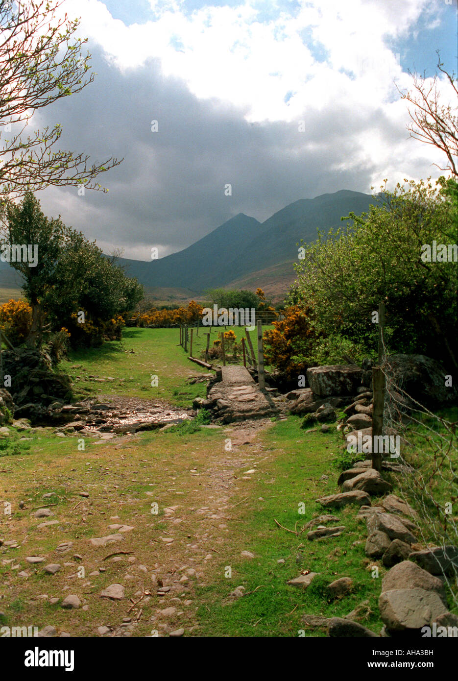 Macgillycuddys Reeks Hags Glen and Carrauntoohil County Kerry Ireland ...