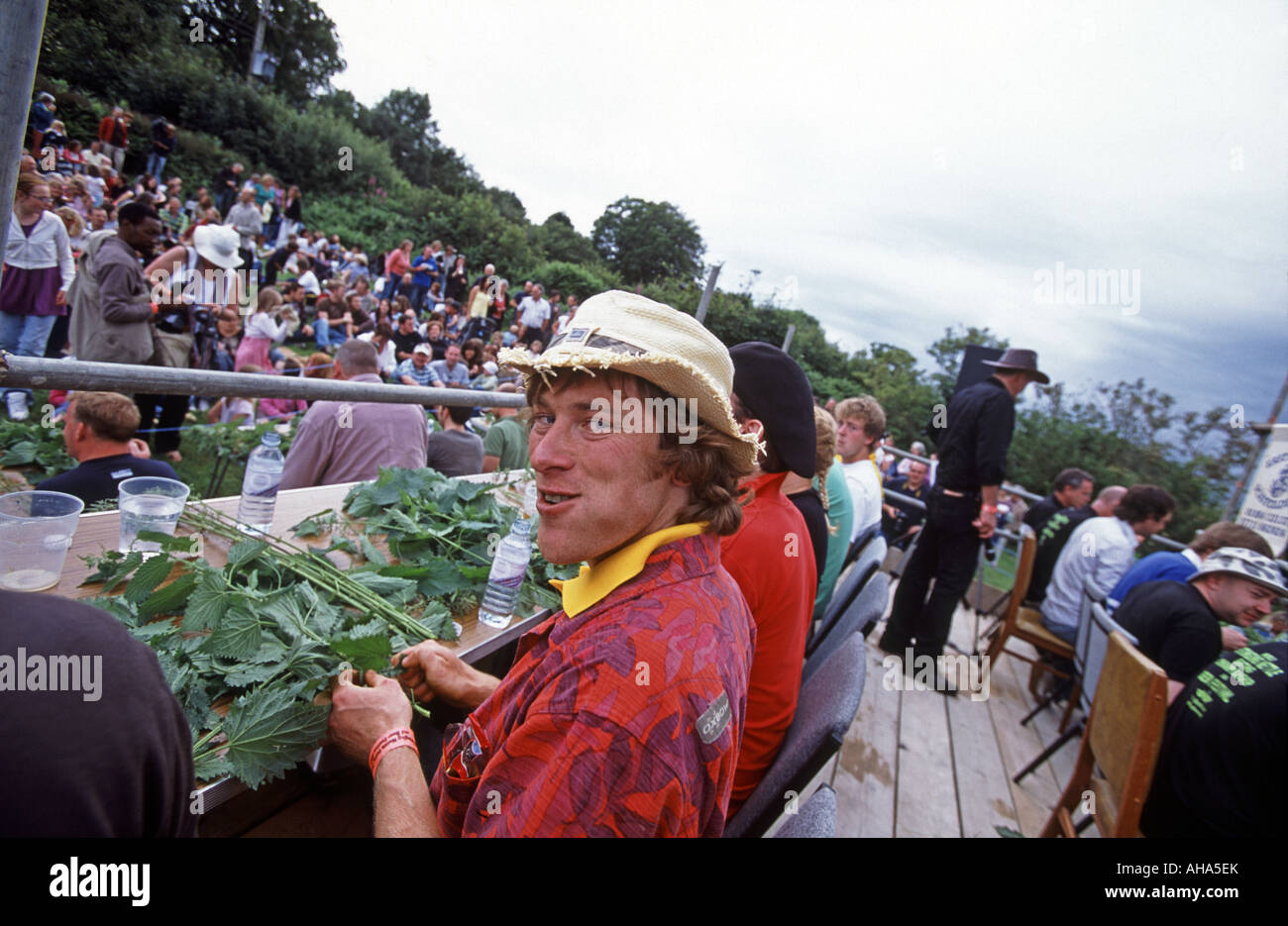 English Stinging Nettle High Resolution Stock Photography and Images ...