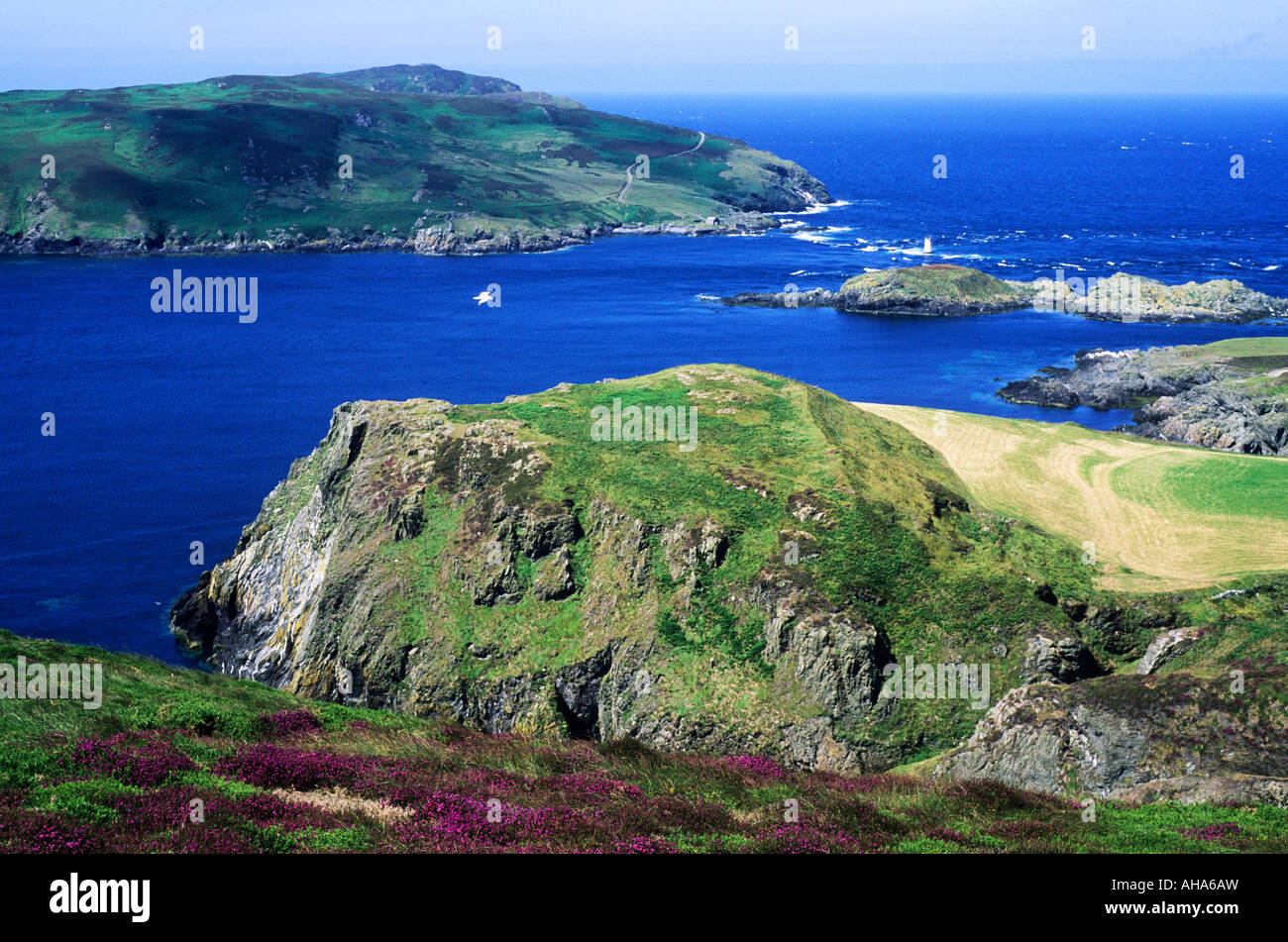 Burroo Ned cliffs Calf of Man island Kitterland Island Isle of Man UK ...