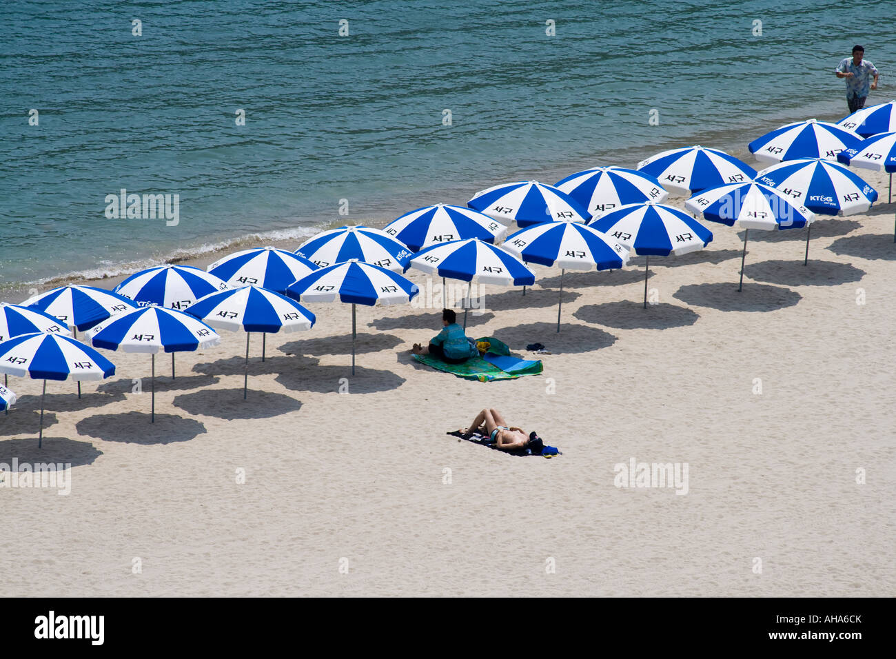 Parasol at the Beach Stock Photo - Alamy