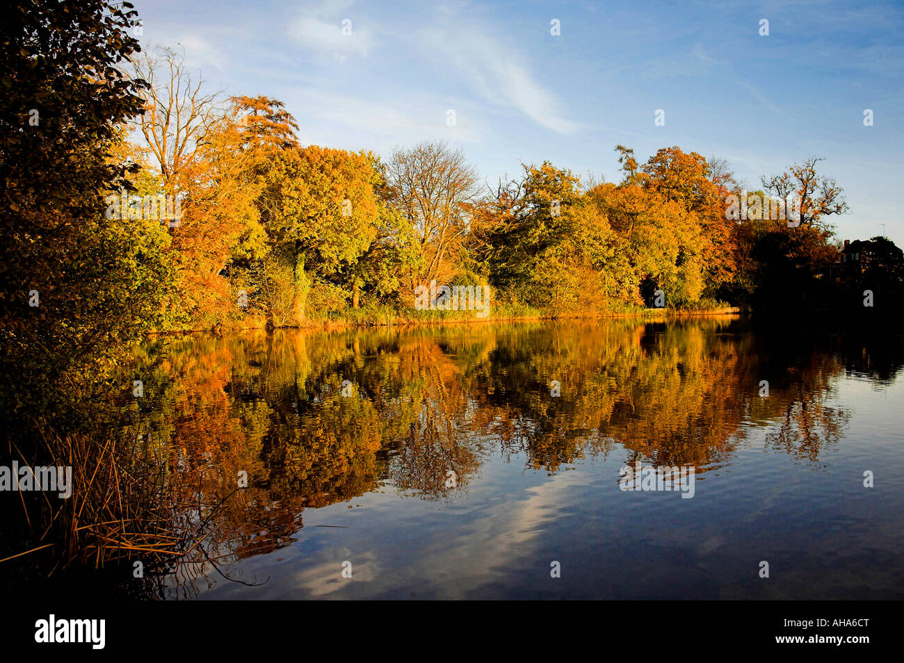 Furnace Pond from medieval gunfounding furnace at Horsmonden Kent Stock ...