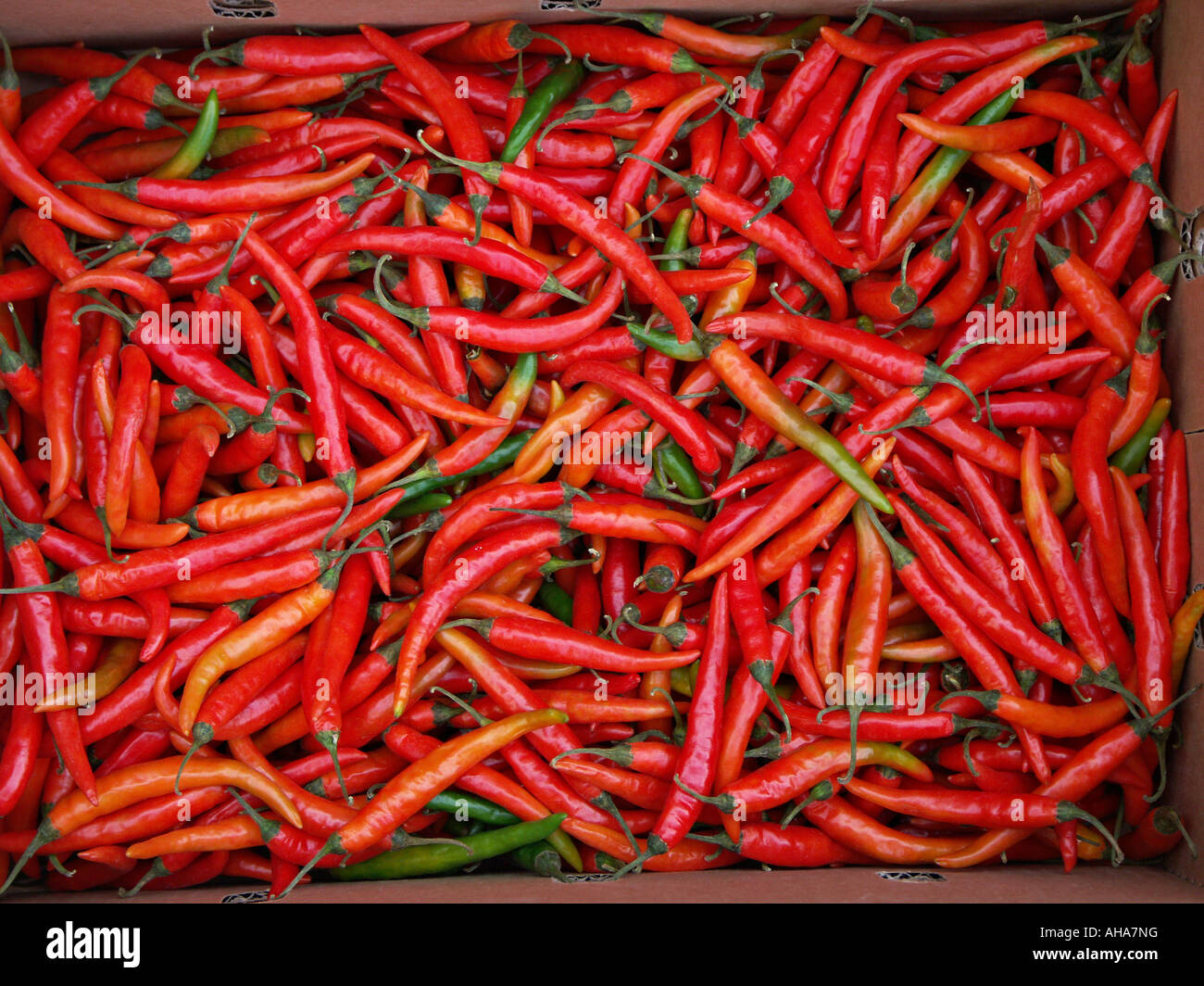 A box full of chillies fresh from a farmer's market in the UK Stock ...