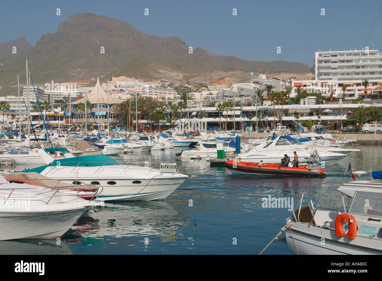 Puerto Colon Playa de las Americas Costa Adeje Tenerife Canary Islands ...