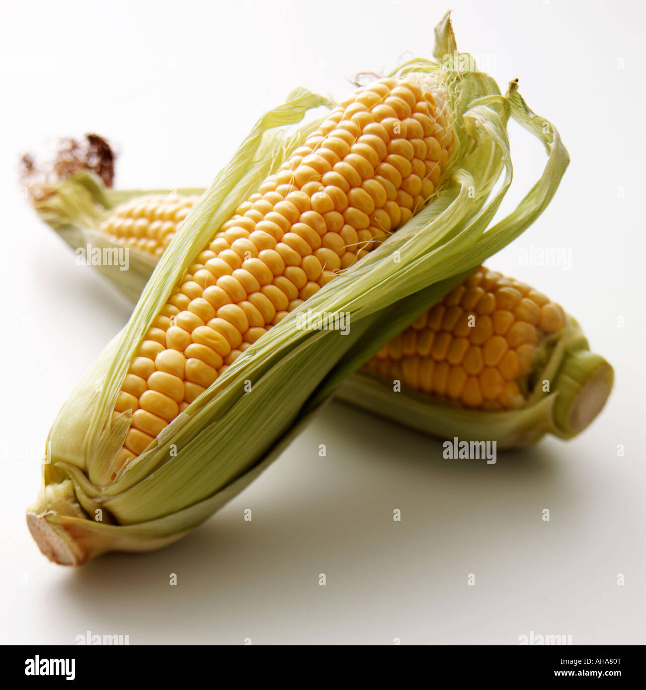 Two corn cobs on a white background editorial food Stock Photo - Alamy