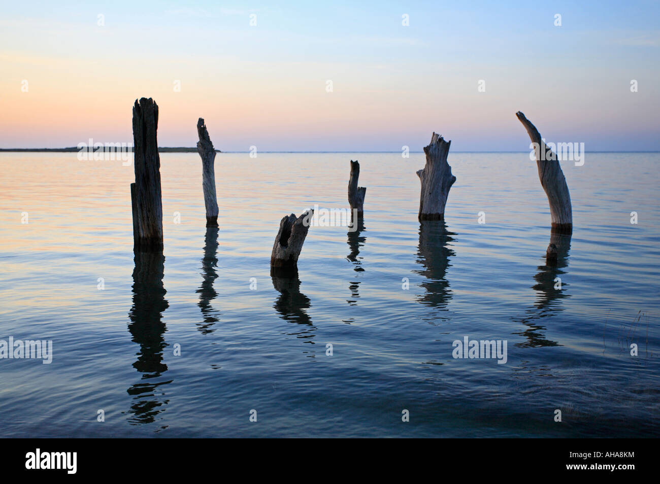 Ancient posts standing in the sea Stock Photo - Alamy