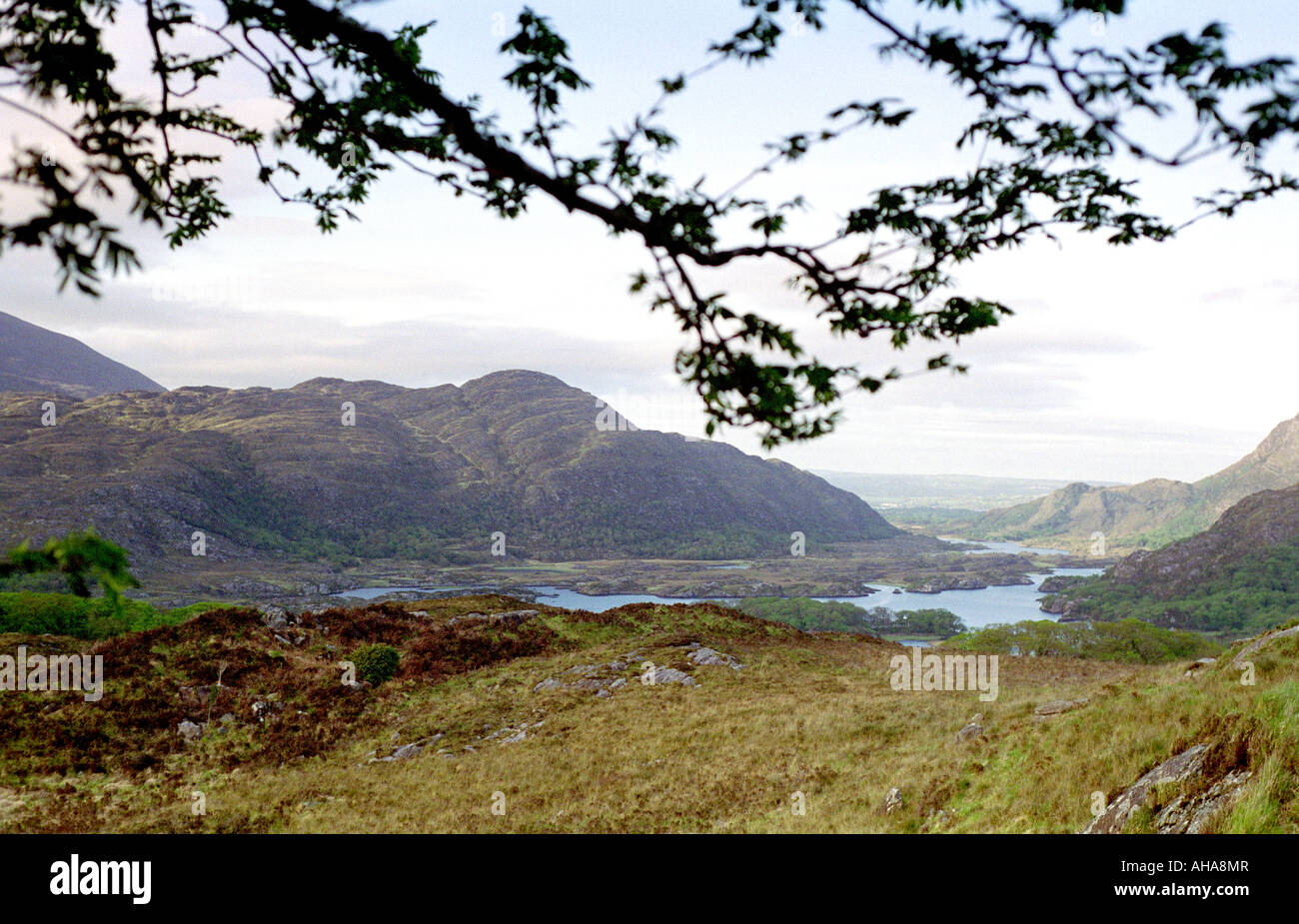 Ireland County Kerry Ladies View “chosen by Queen Victorias ladies in ...
