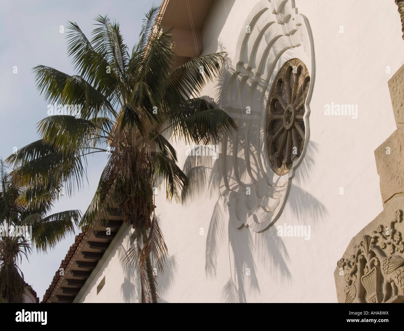 Palm trees smooth tile hi-res stock photography and images - Alamy