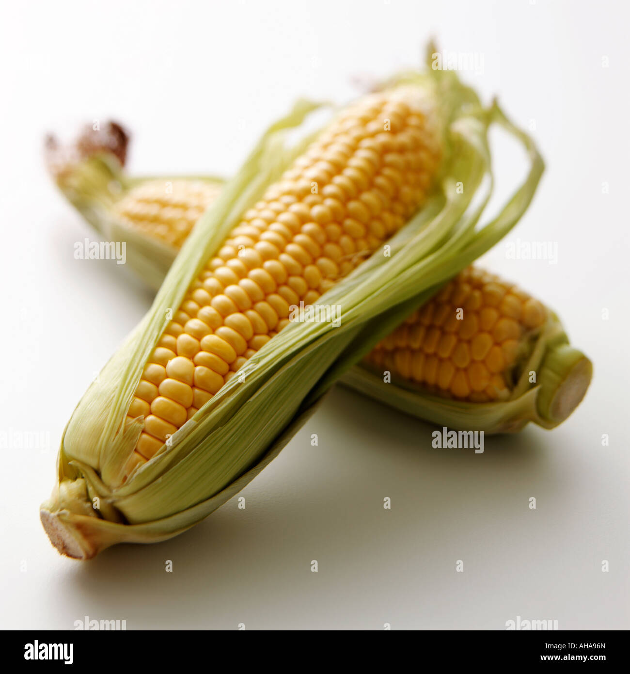 Two corn cobs on a white background editorial food Stock Photo - Alamy