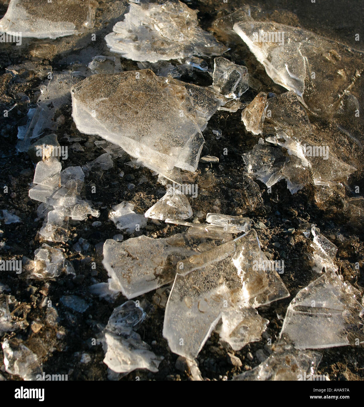 Ice shards from a frozen roadside puddle smashed by traffic Stock Photo ...