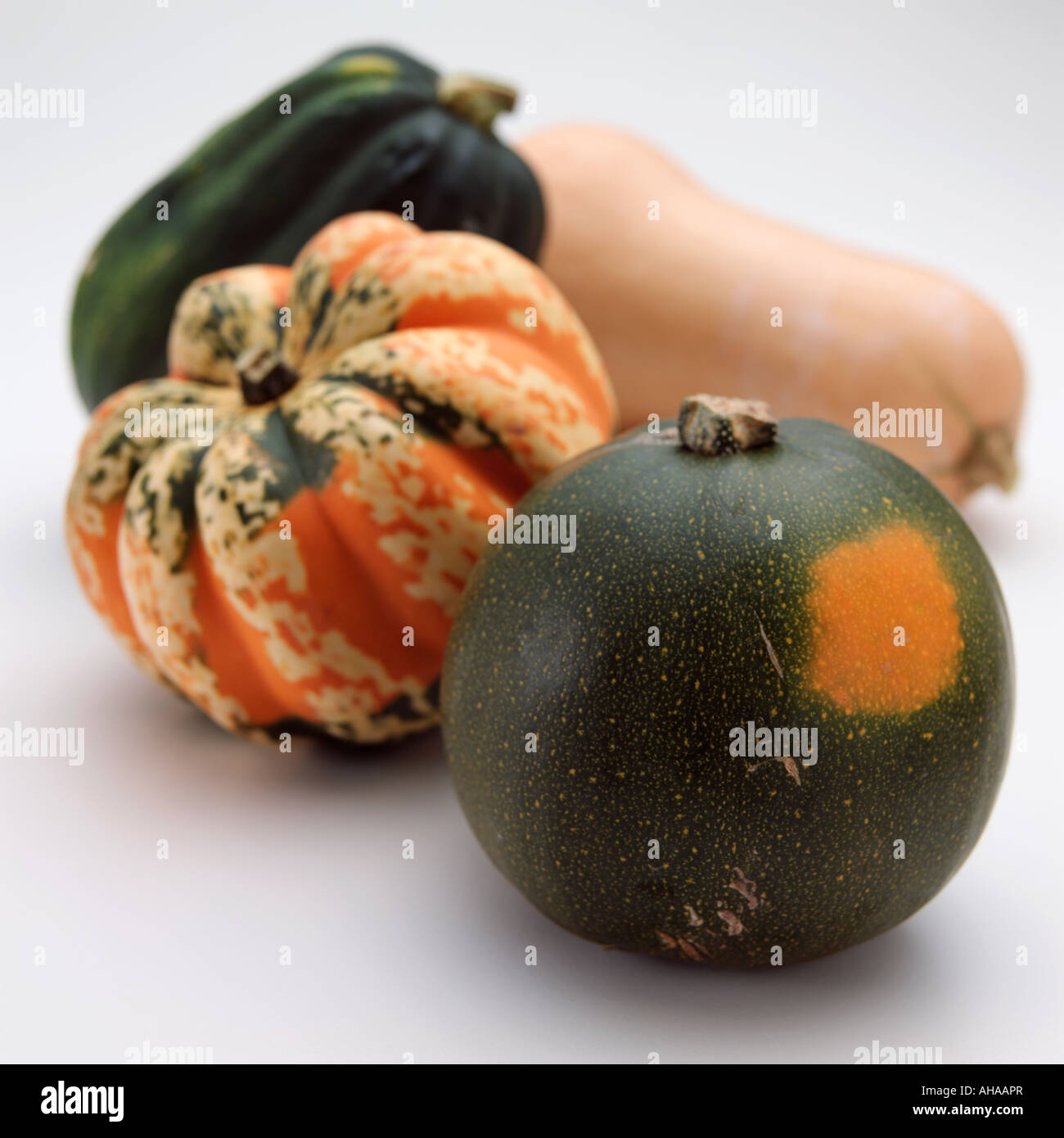 Various squashes on a white background editorial food Stock Photo - Alamy