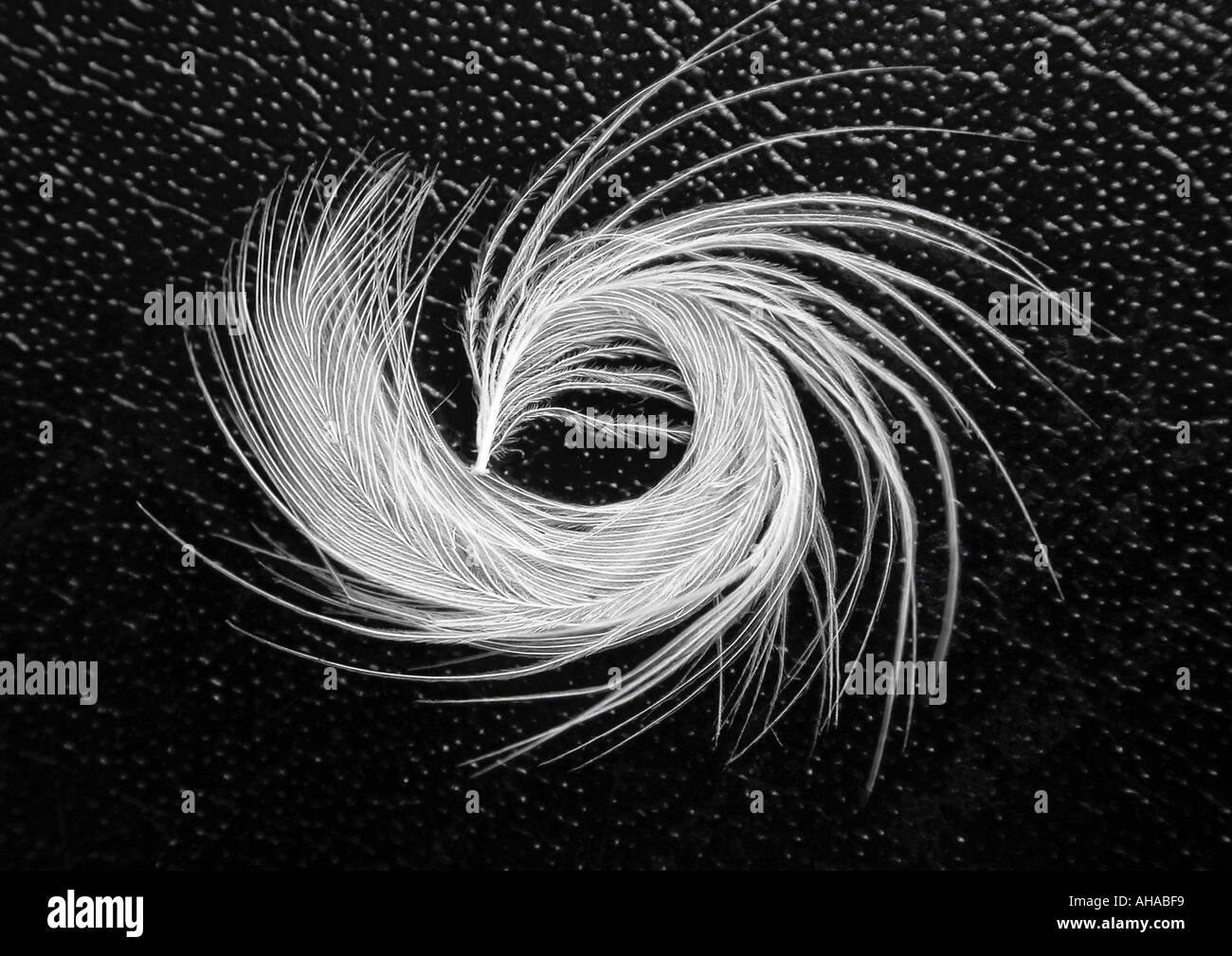 feather wrapped spiral Stock Photo - Alamy