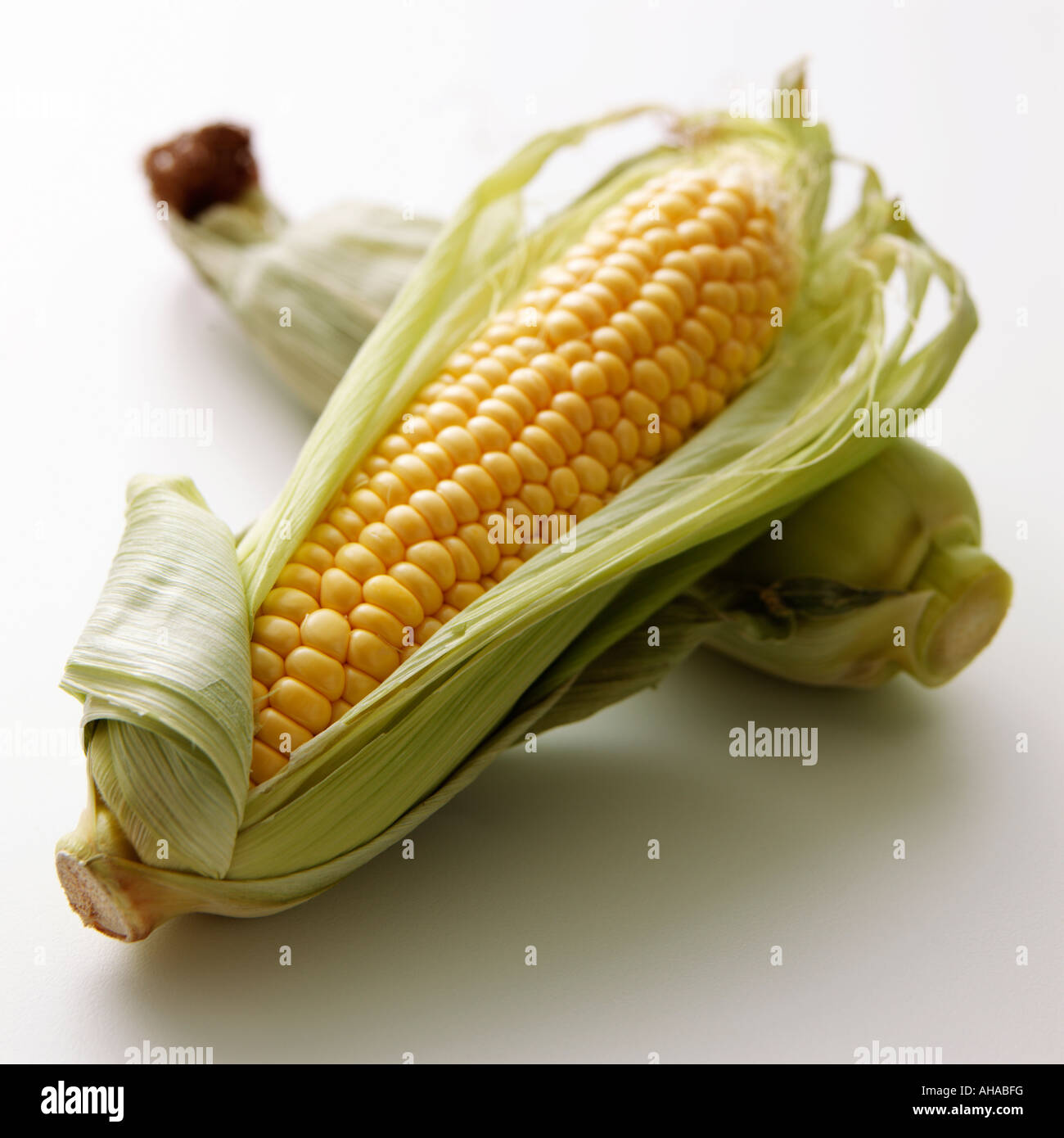 Two sweetcorn cobs on a white background editorial food Stock Photo - Alamy