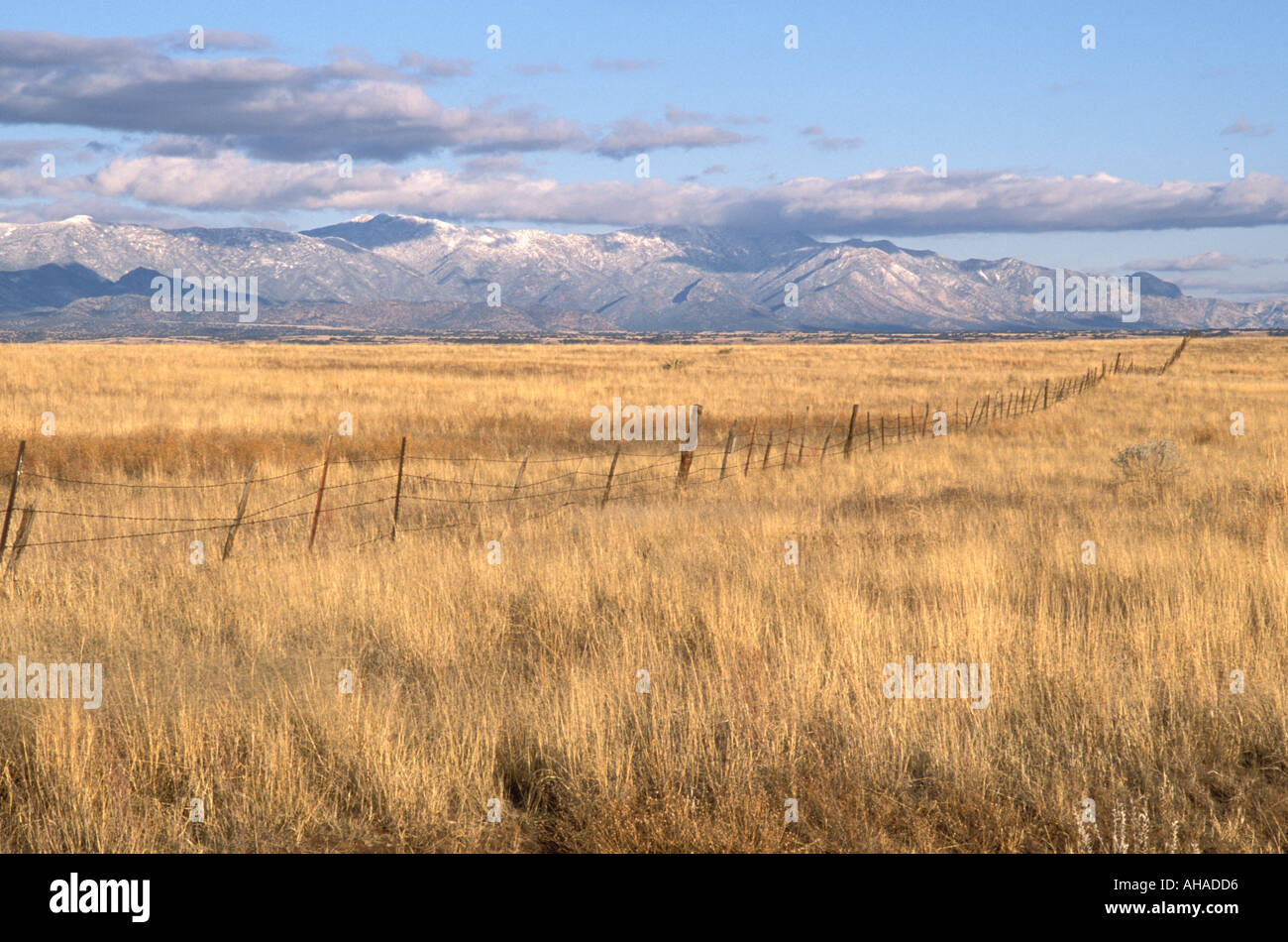 Grass range hi-res stock photography and images - Alamy